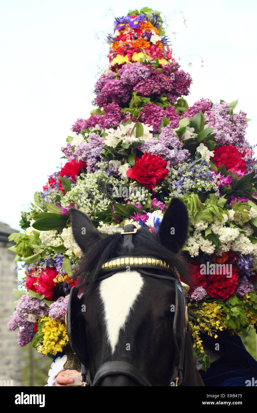 Wearing a floral headdress, the Garland King processes through ...