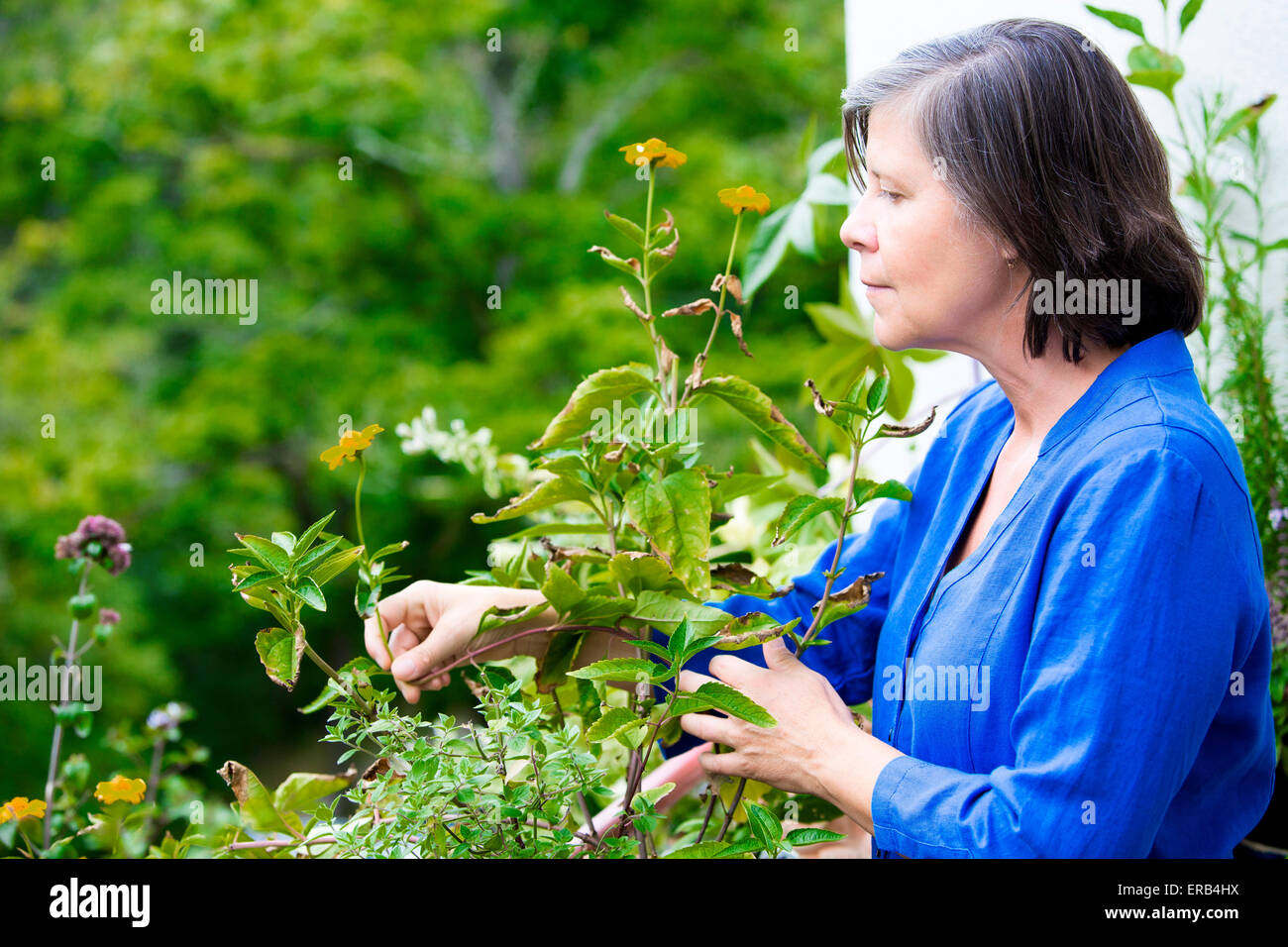 Happy older woman outdoor hi-res stock photography and images - Alamy