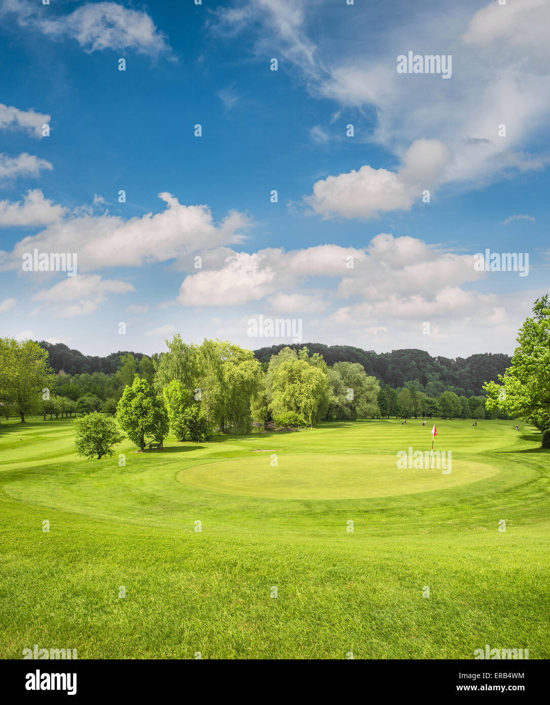 Golf course landscape. Spring field with green grass, trees and cloudy ...