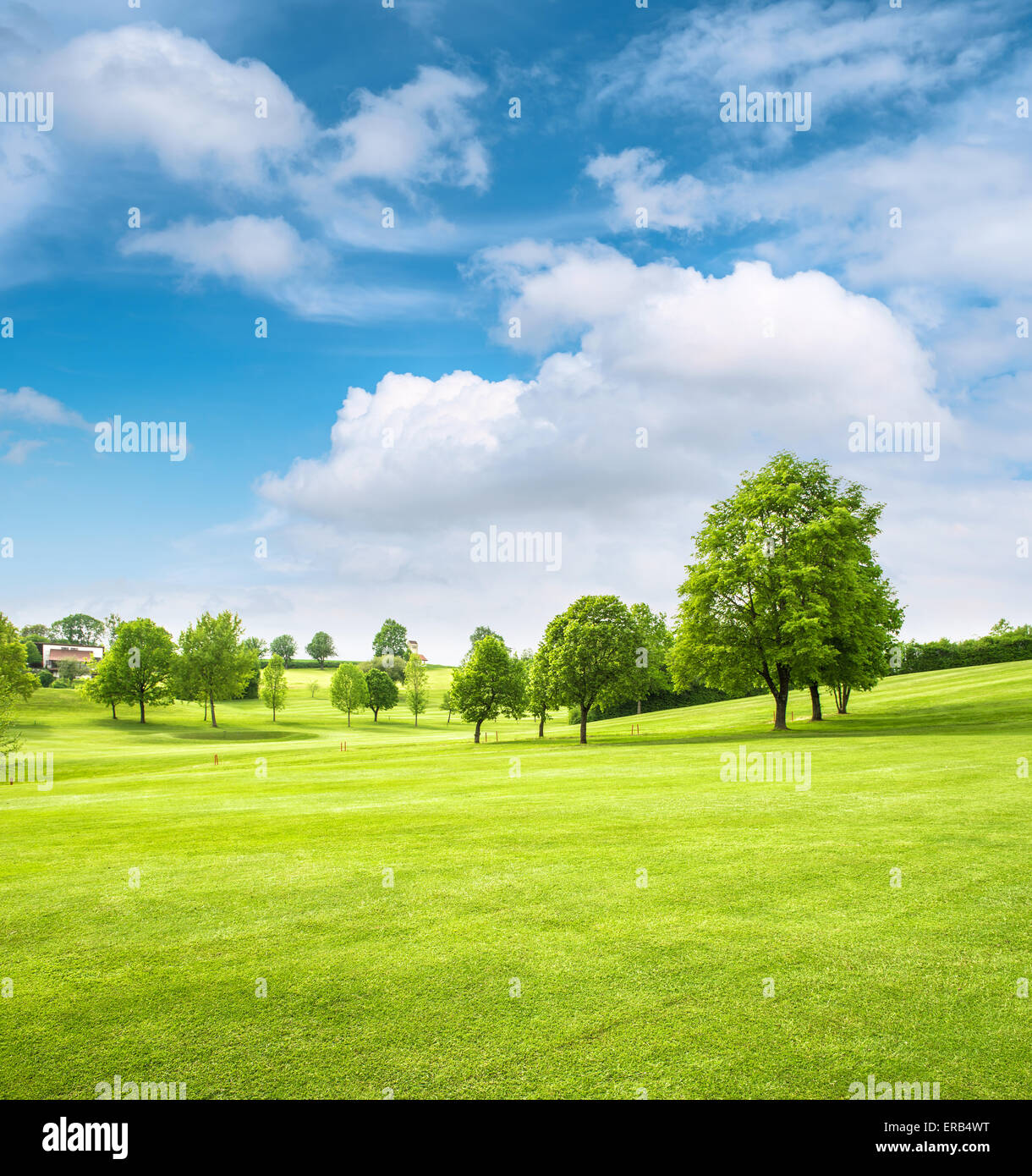 Beautiful european landscape. Spring field with green grass, trees and ...