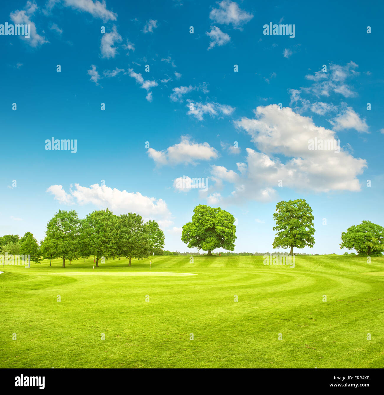 Golf course. Spring field with green grass, trees and cloudy blue sky ...
