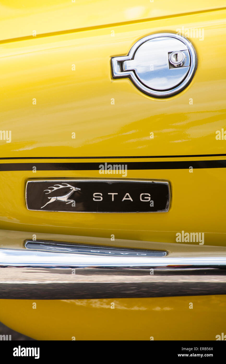 Stag badge on yellow Stag car Stock Photo - Alamy