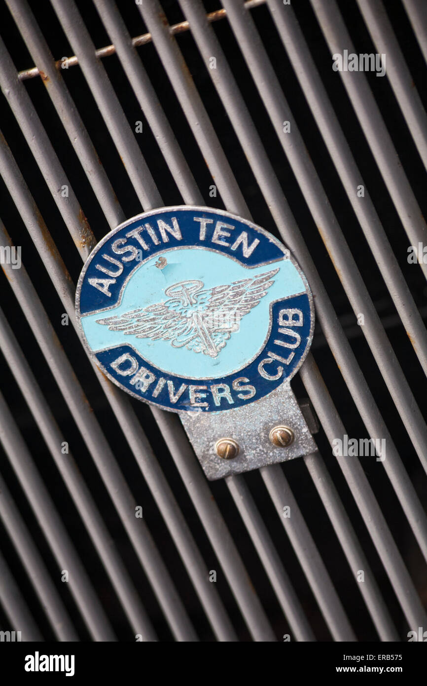 Austin Ten Drivers Club badge on front grille of Austin Ten car Stock ...