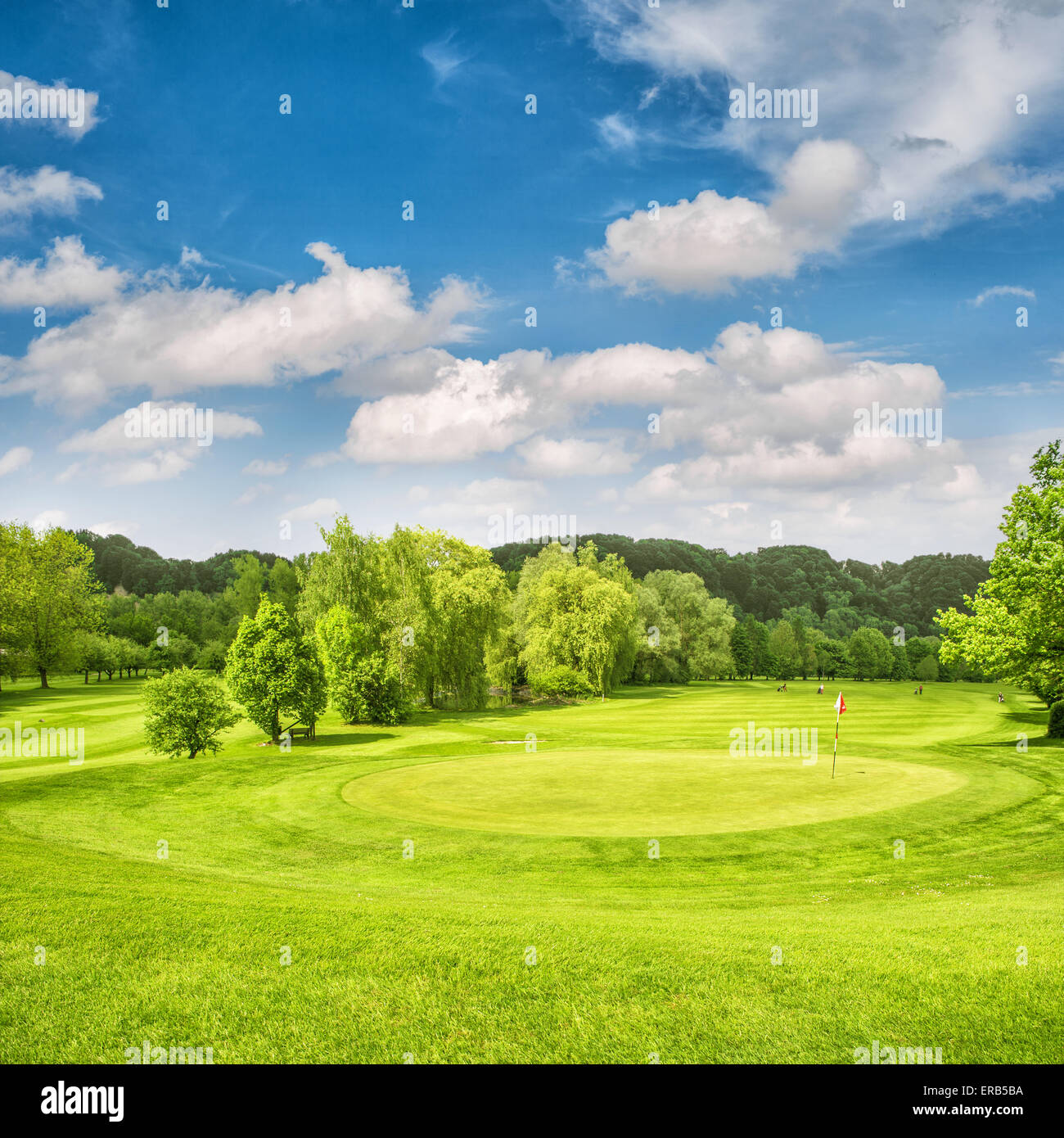 Golf course. Spring field with green grass, trees and cloudy blue sky ...