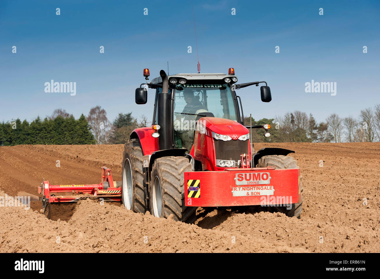Making ridges for potato crop using a ridger pulled by a Massey Stock ...