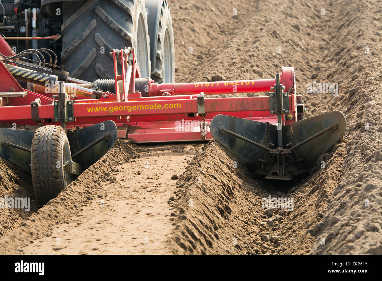Making ridges for potato crop using a ridger pulled by a Massey ...
