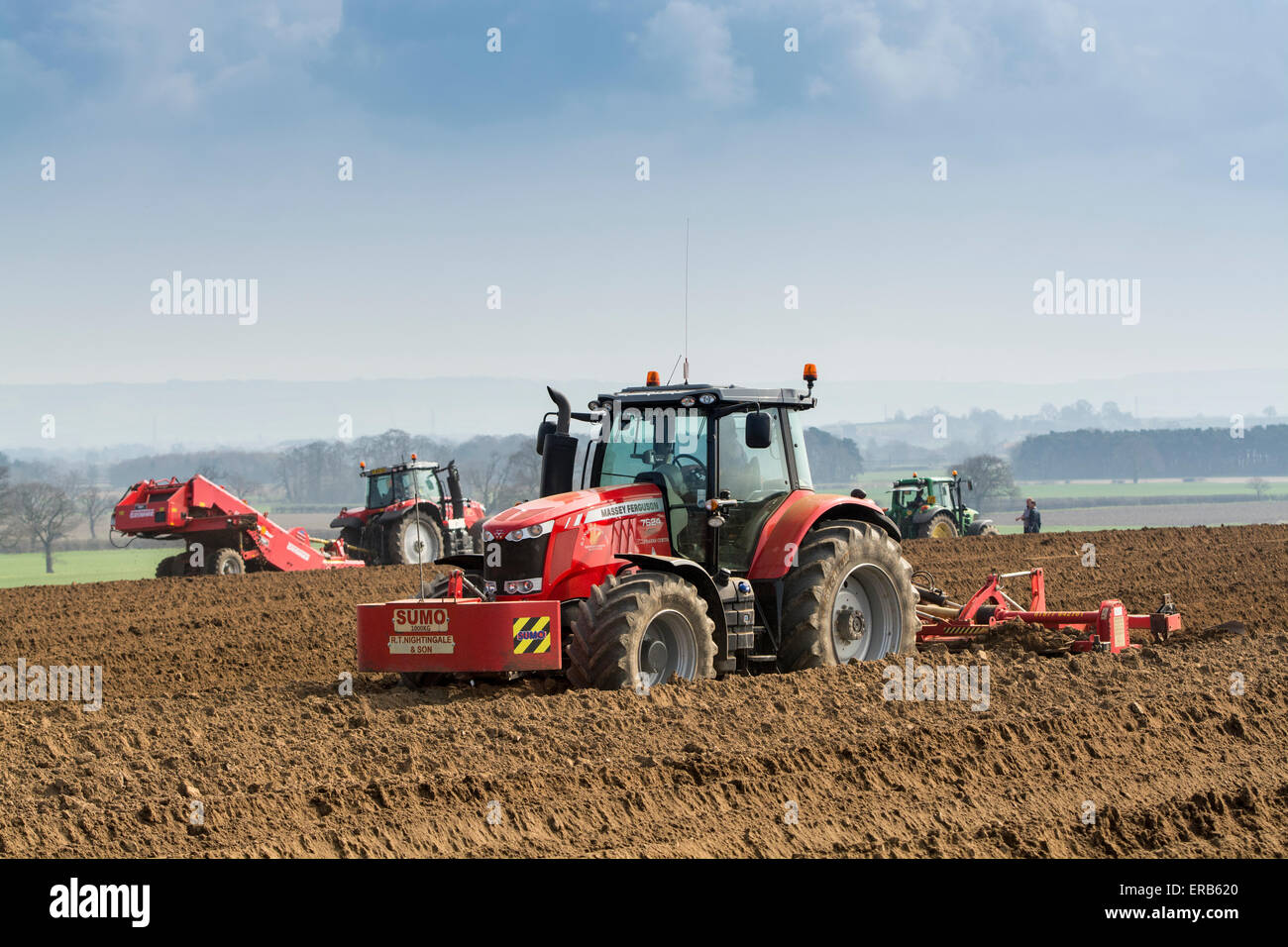 Making ridges for potato crop using a ridger pulled by a Massey ...