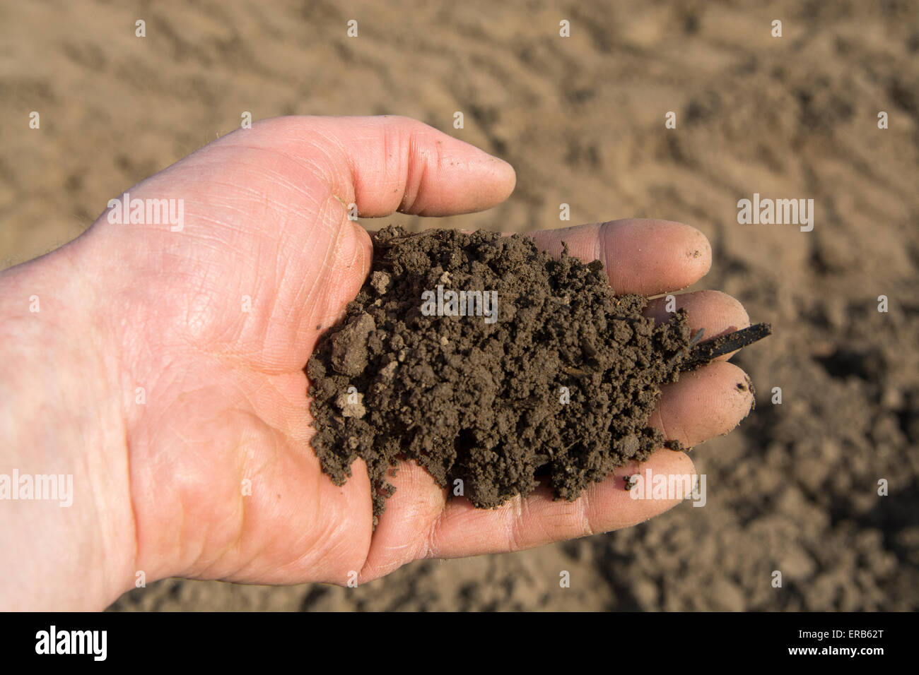 Loam soil hi-res stock photography and images - Alamy