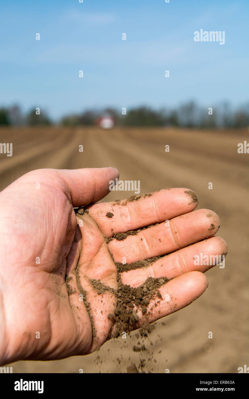 Loam soil hi-res stock photography and images - Alamy