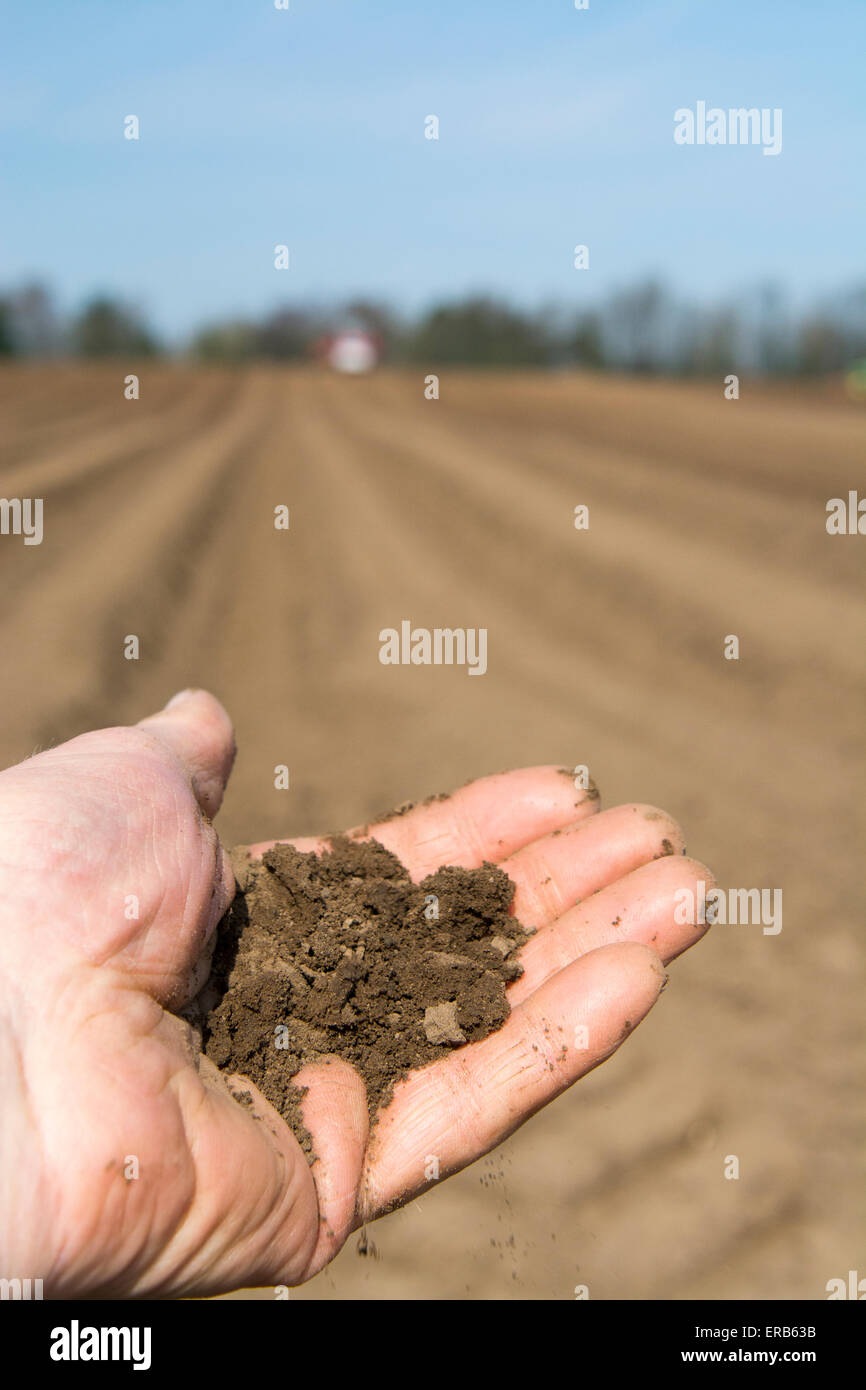 Soil held in farmers hand, showing the fine loam created in the seed ...
