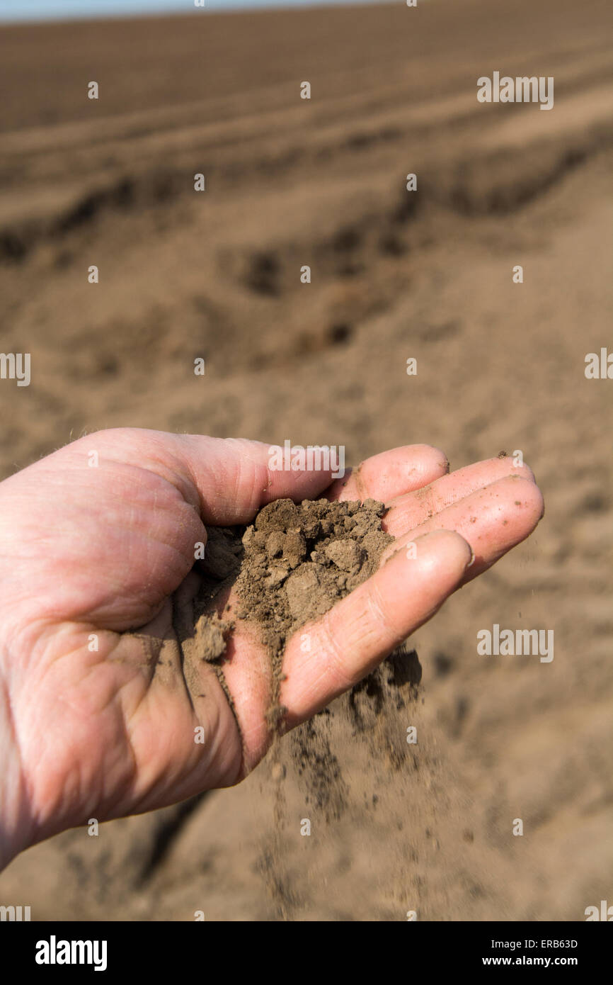 Loam soil hi-res stock photography and images - Alamy