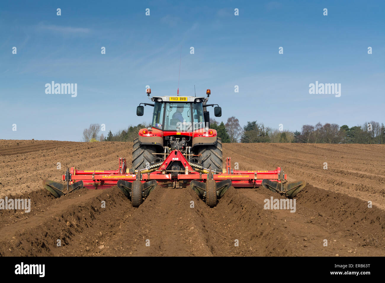 Making ridges for potato crop using a ridger pulled by a Massey ...