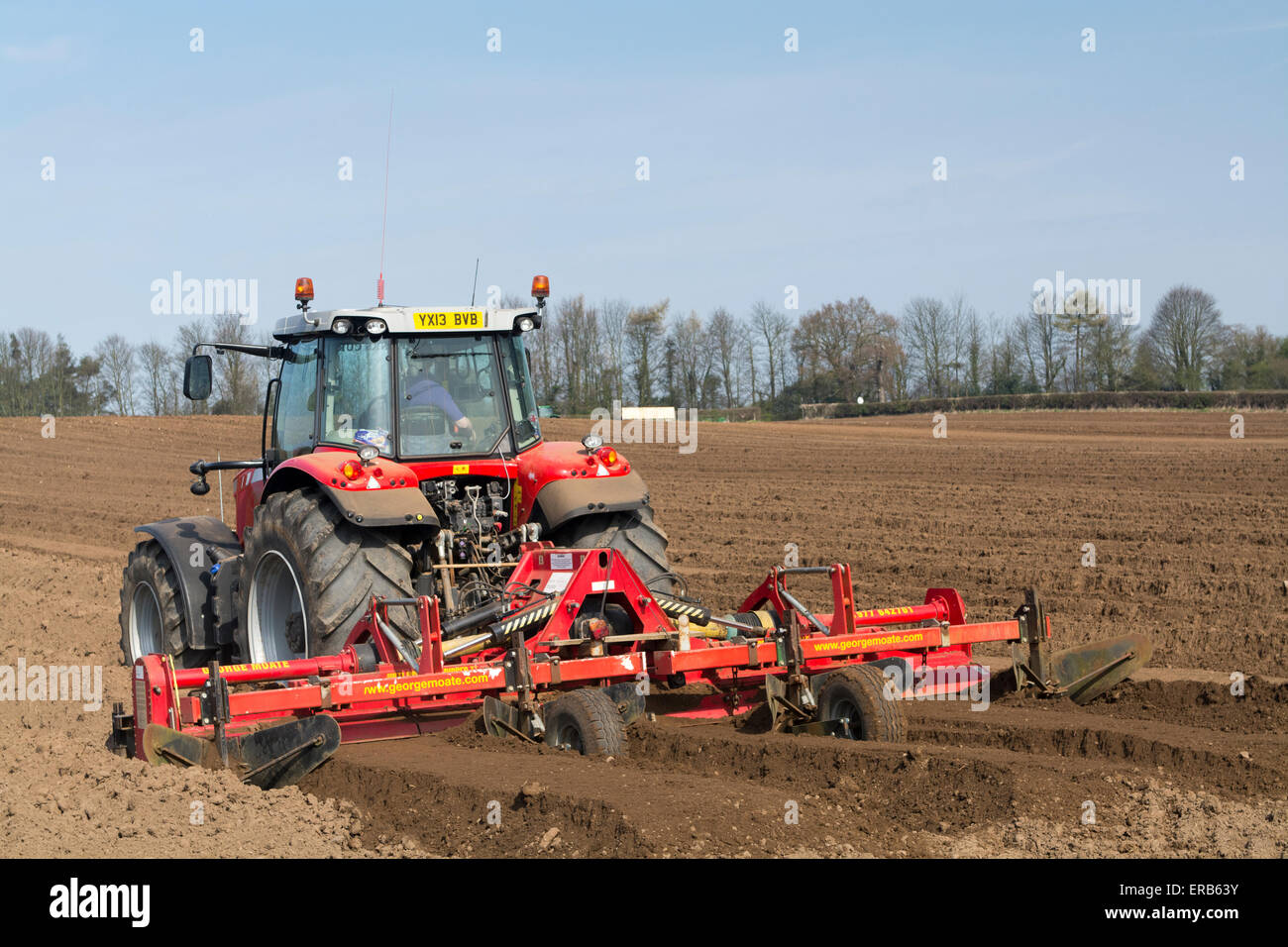 Making ridges for potato crop using a ridger pulled by a Massey ...