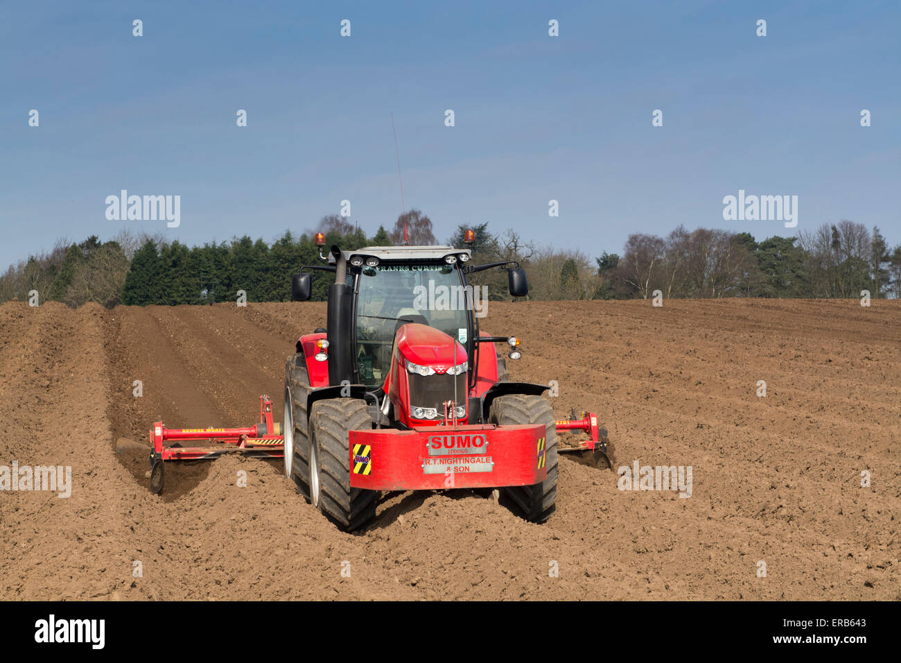 Making ridges for potato crop using a ridger pulled by a Massey ...