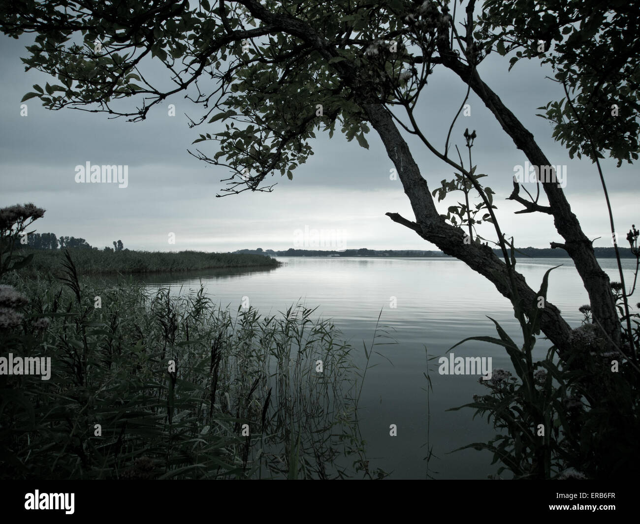 Quiet still life with sky reflections in water Stock Photo - Alamy