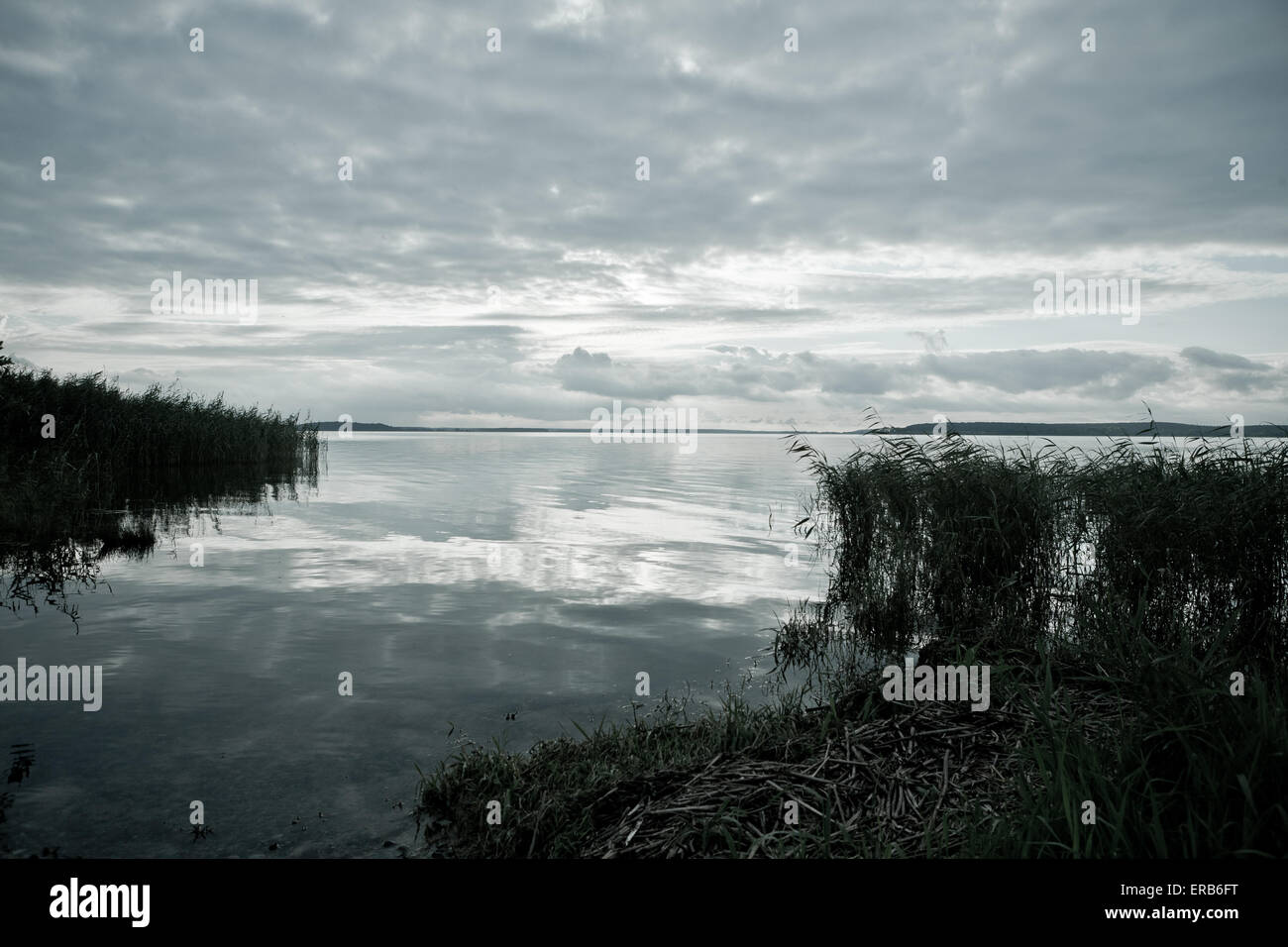 Quiet still life with sky reflections in water Stock Photo - Alamy