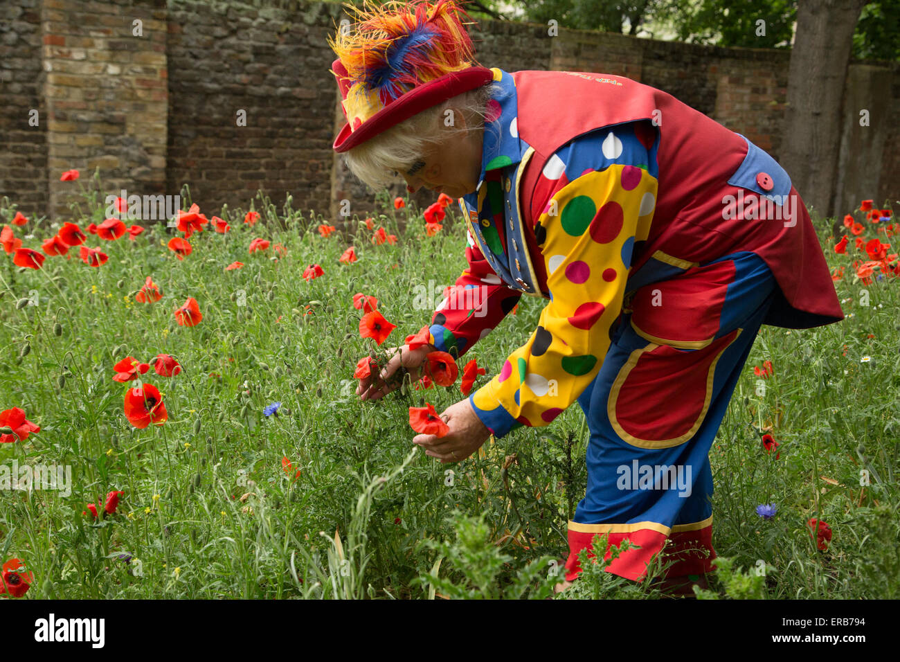 Pip the clown hi-res stock photography and images - Alamy