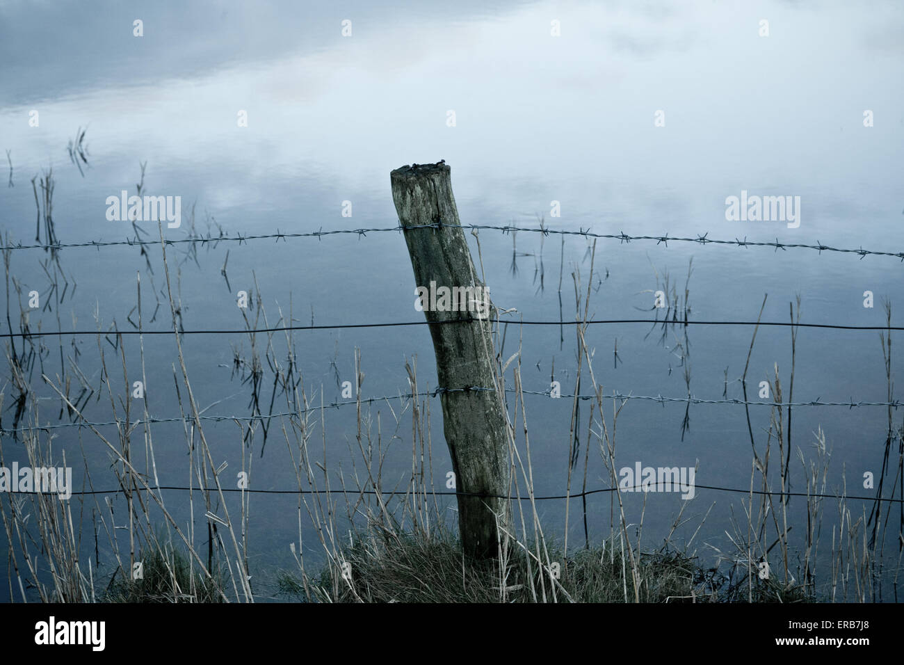 Landscape with water reflection Stock Photo - Alamy