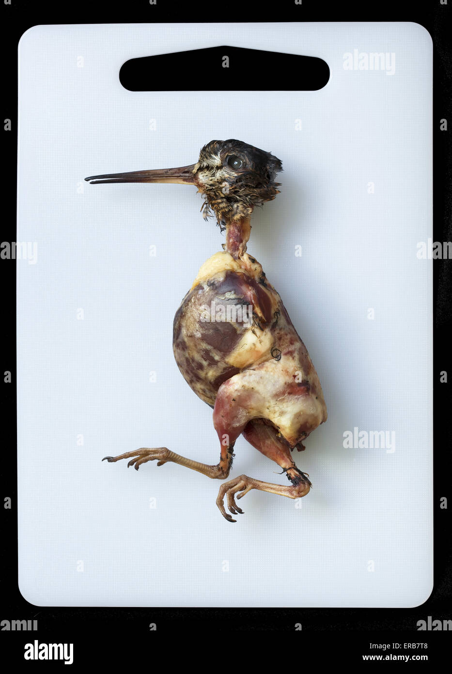 Plucked bird hi-res stock photography and images - Alamy
