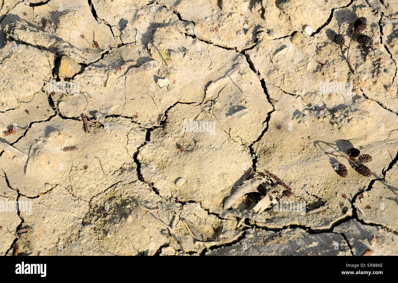 Ground surface hi-res stock photography and images - Alamy