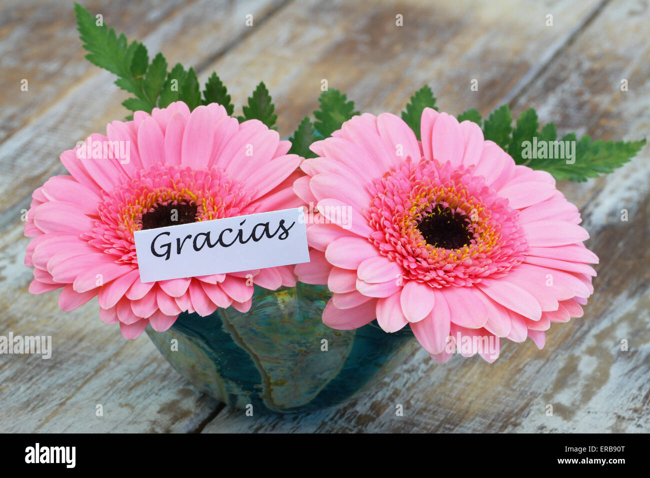 Gracias (which means thank you in Spanish) with pink gerbera daisies ...