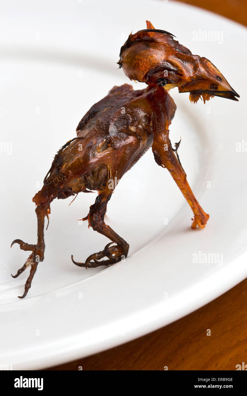 Fried or cooked songbird on sale Phnom Penh Cambodia - An example of ...