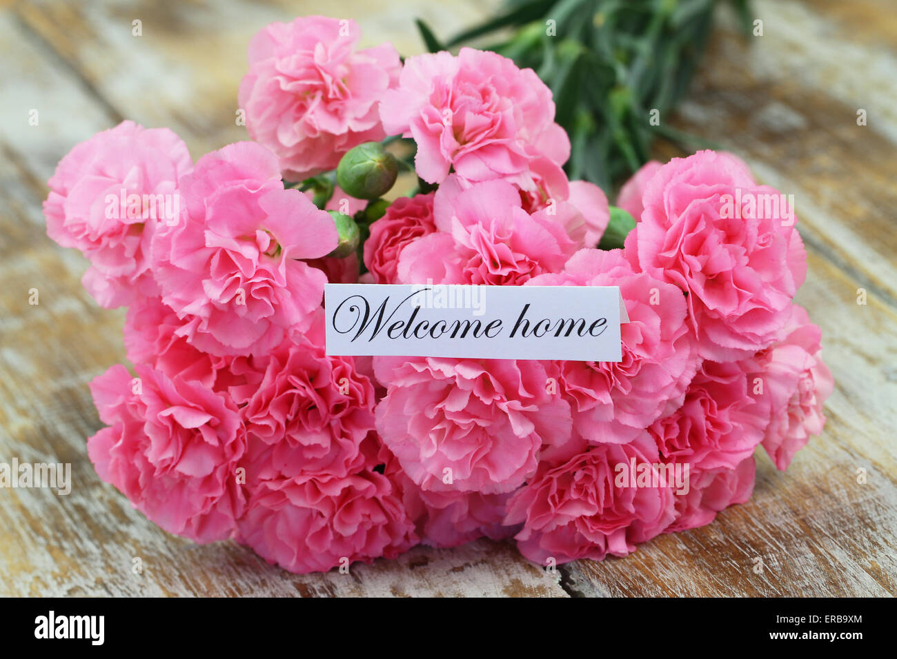 Welcome home card with pink carnations Stock Photo - Alamy