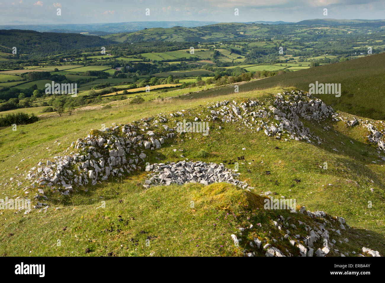 Fractured limestone rock hi-res stock photography and images - Alamy