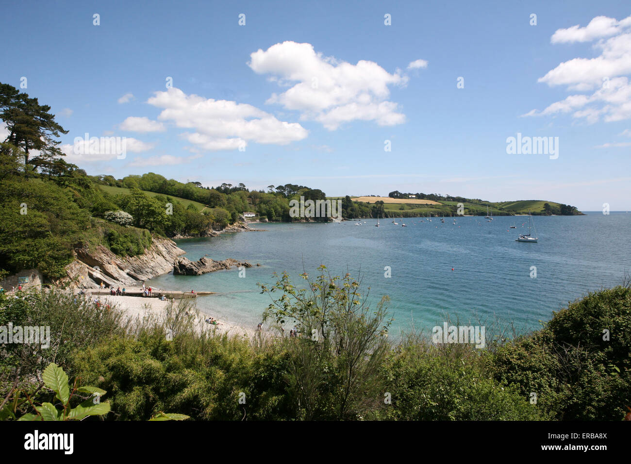 Trebah Gardens, Mawnan Smith, Falmouth Cornwall Stock Photo - Alamy