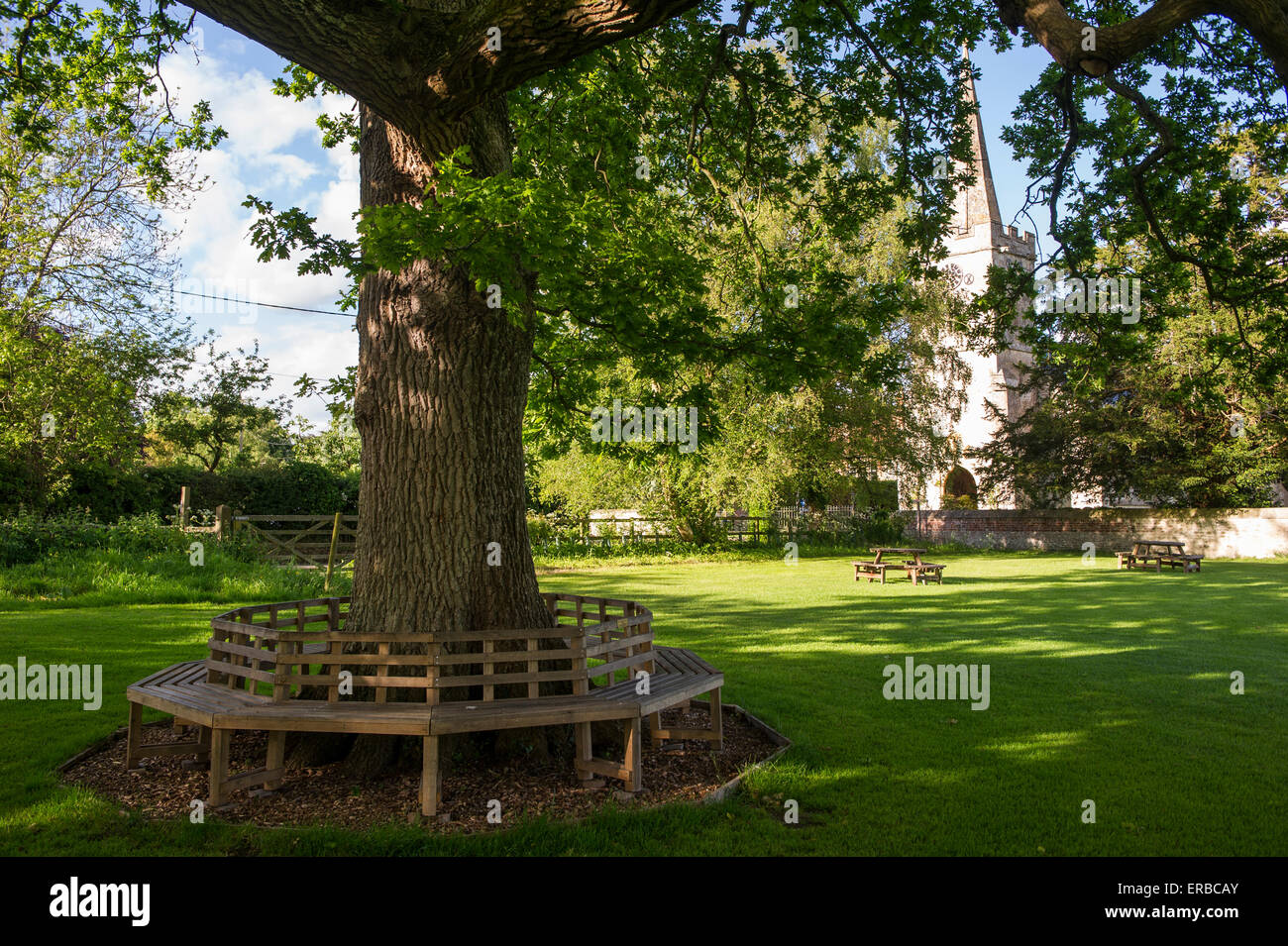 A circular bench around an oak tree on a village green Stock Photo - Alamy