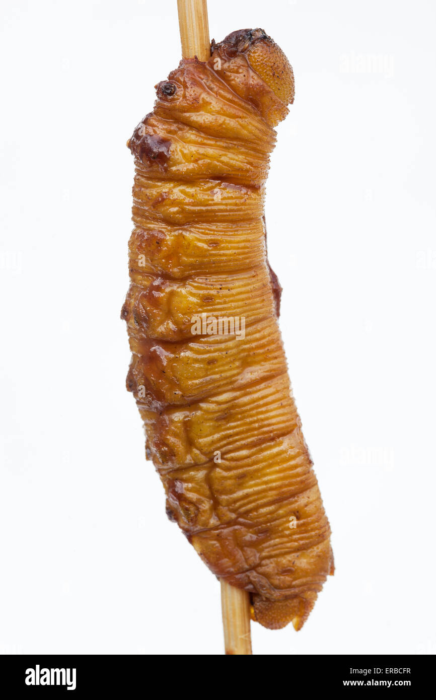 Chinese Grub or caterpllar larvae deep fried on a stick at Dong Hua Men ...