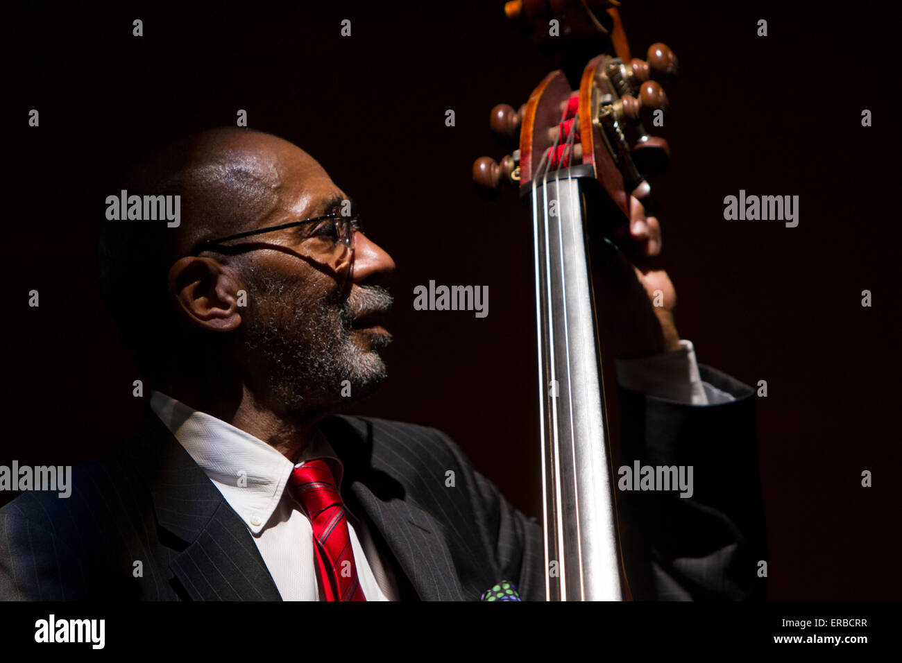Double bass player jazz musician hi-res stock photography and images ...