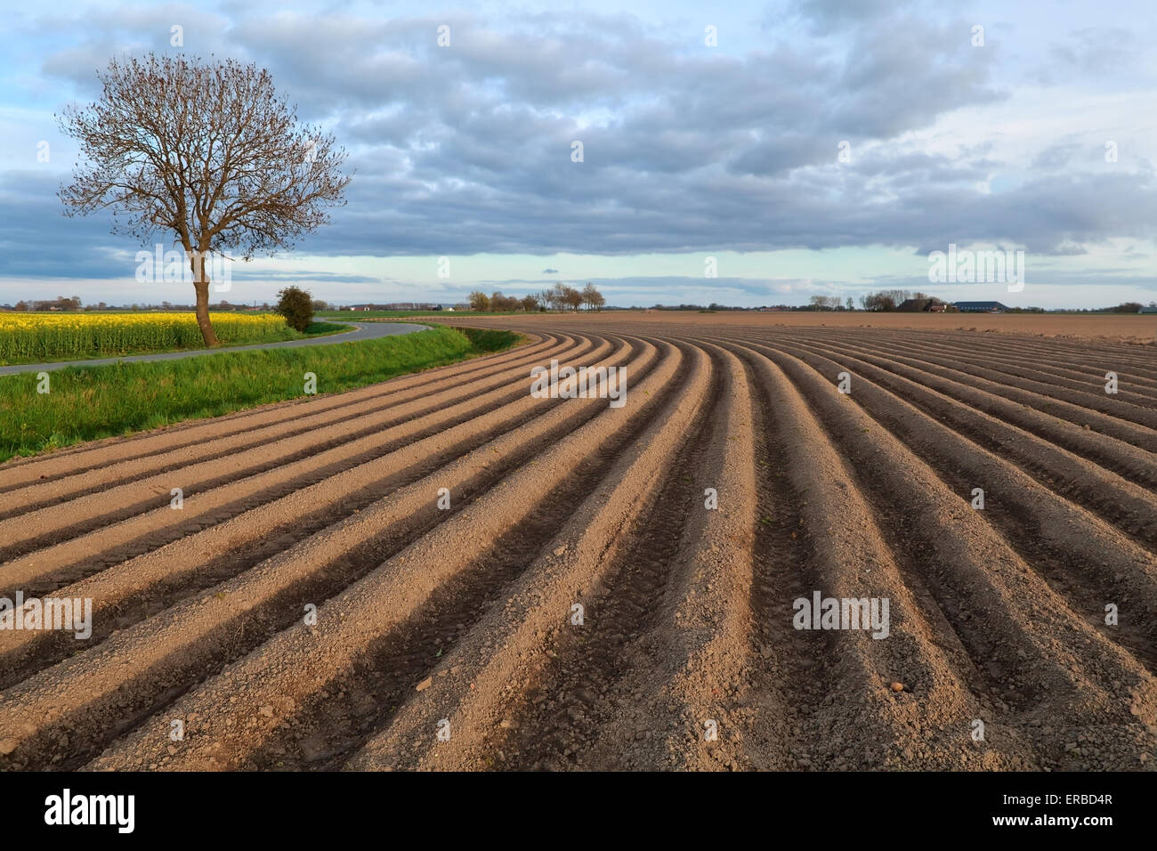 Plowed soil hi-res stock photography and images - Alamy