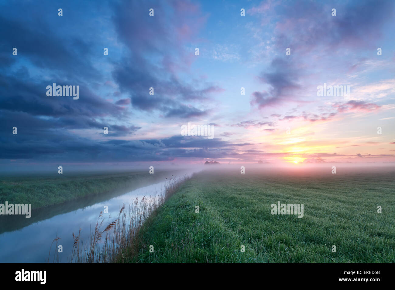 misty sunrise over meadow and river in spring Stock Photo - Alamy