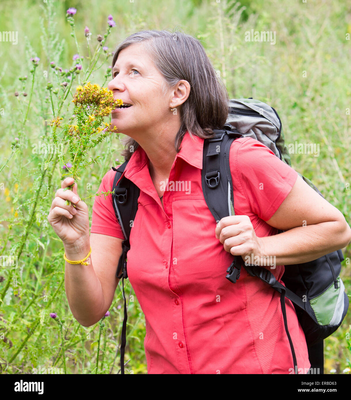 older woman is hiking in nature and smelling flowers Stock Photo - Alamy