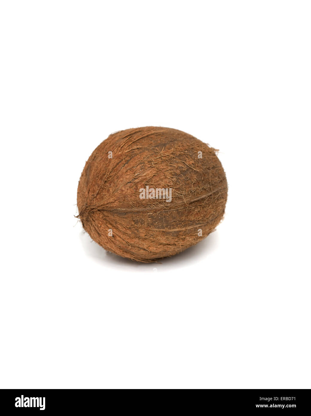 Single hairy coconut isolated on white background Stock Photo - Alamy