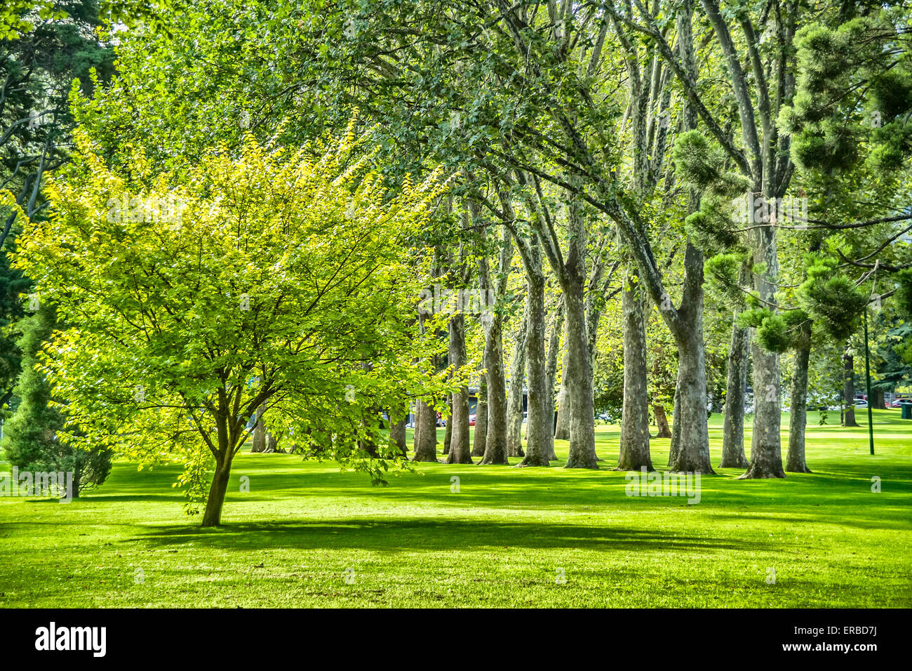 Treasury Gardens a heritage green park in city of Melbourne, Victoria ...