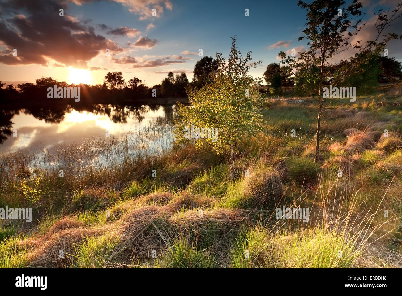 beautiful sunset over wild lake, North Brabant, Netherlands Stock Photo ...