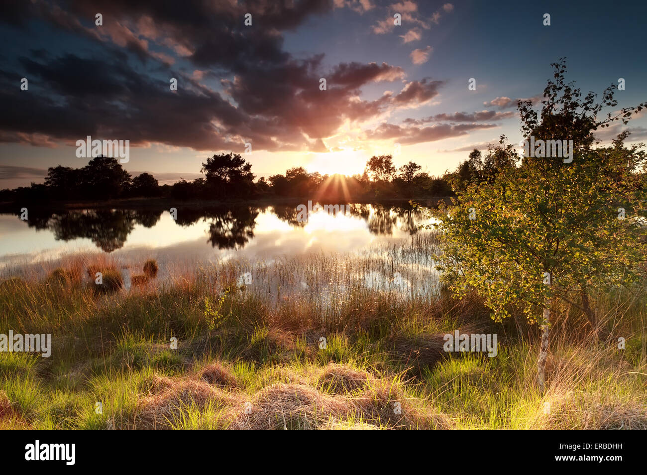golden sunset over wild lake, north Brabant, Netherlands Stock Photo ...