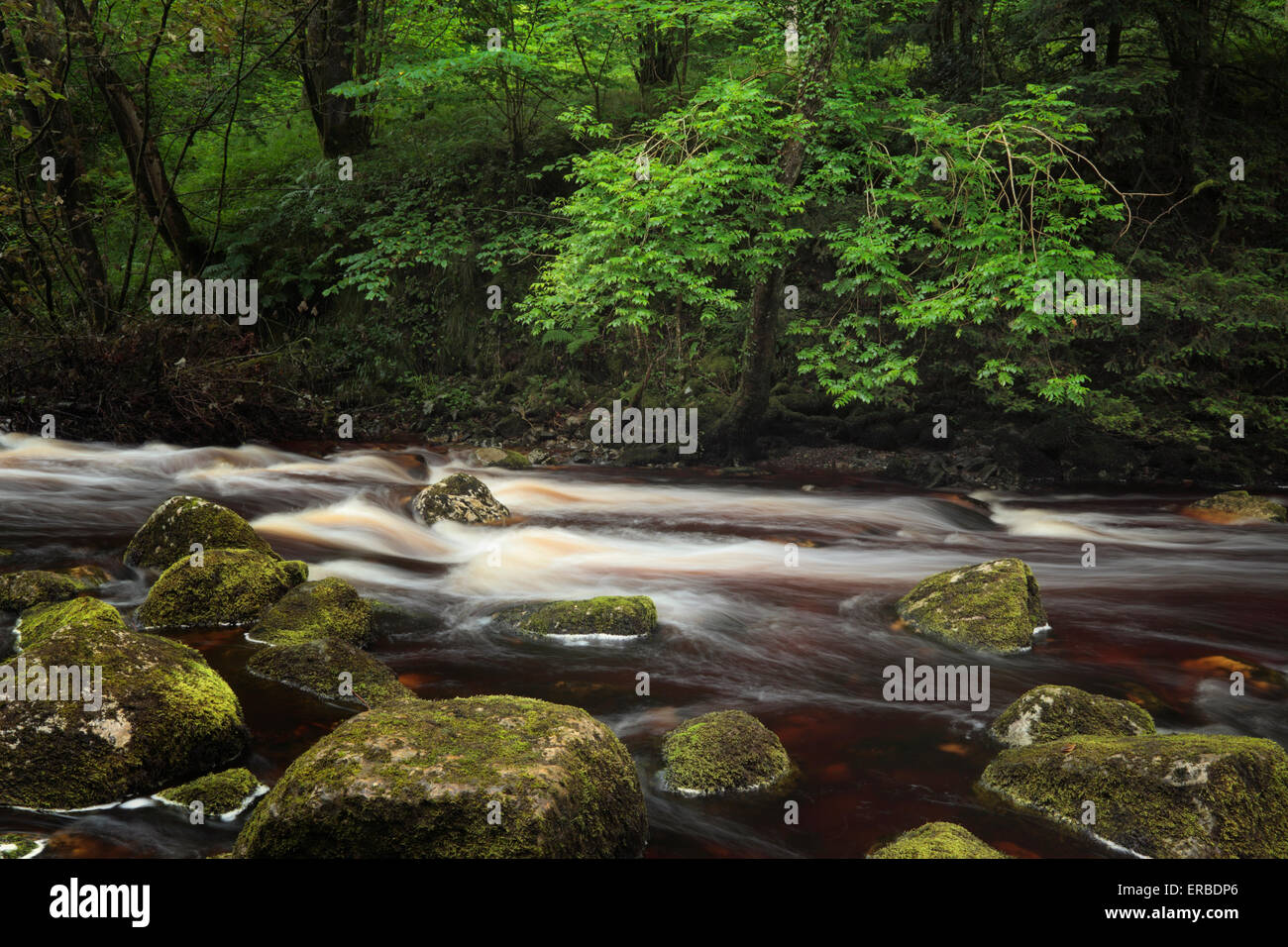 River Twiss in summer near Ingleton in the Yorkshire Dales of England ...