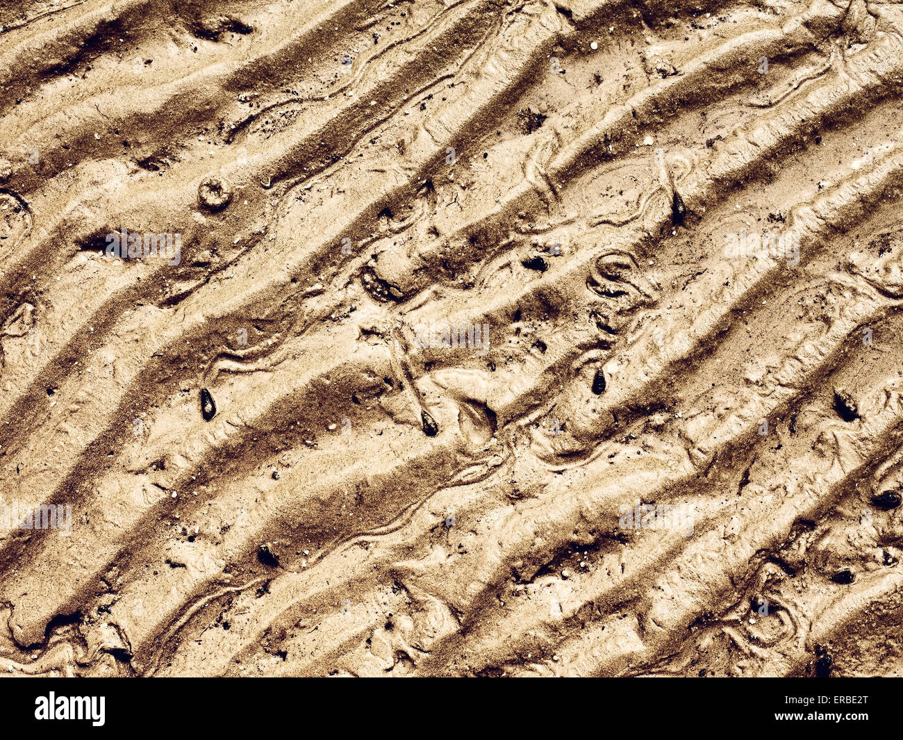 Seabed texture hi-res stock photography and images - Alamy