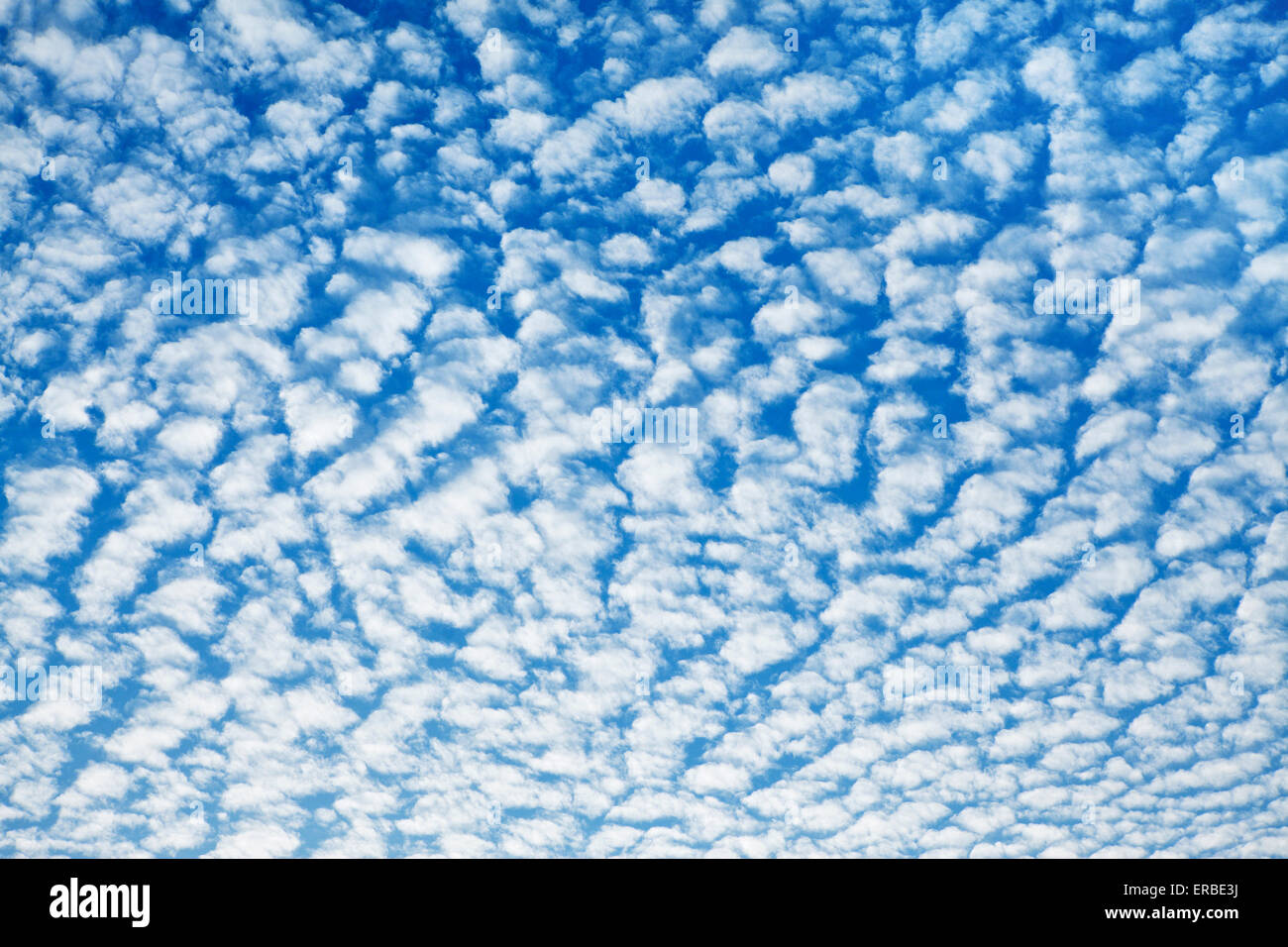 cloudscape with altocumulus clouds at sunny day Stock Photo - Alamy