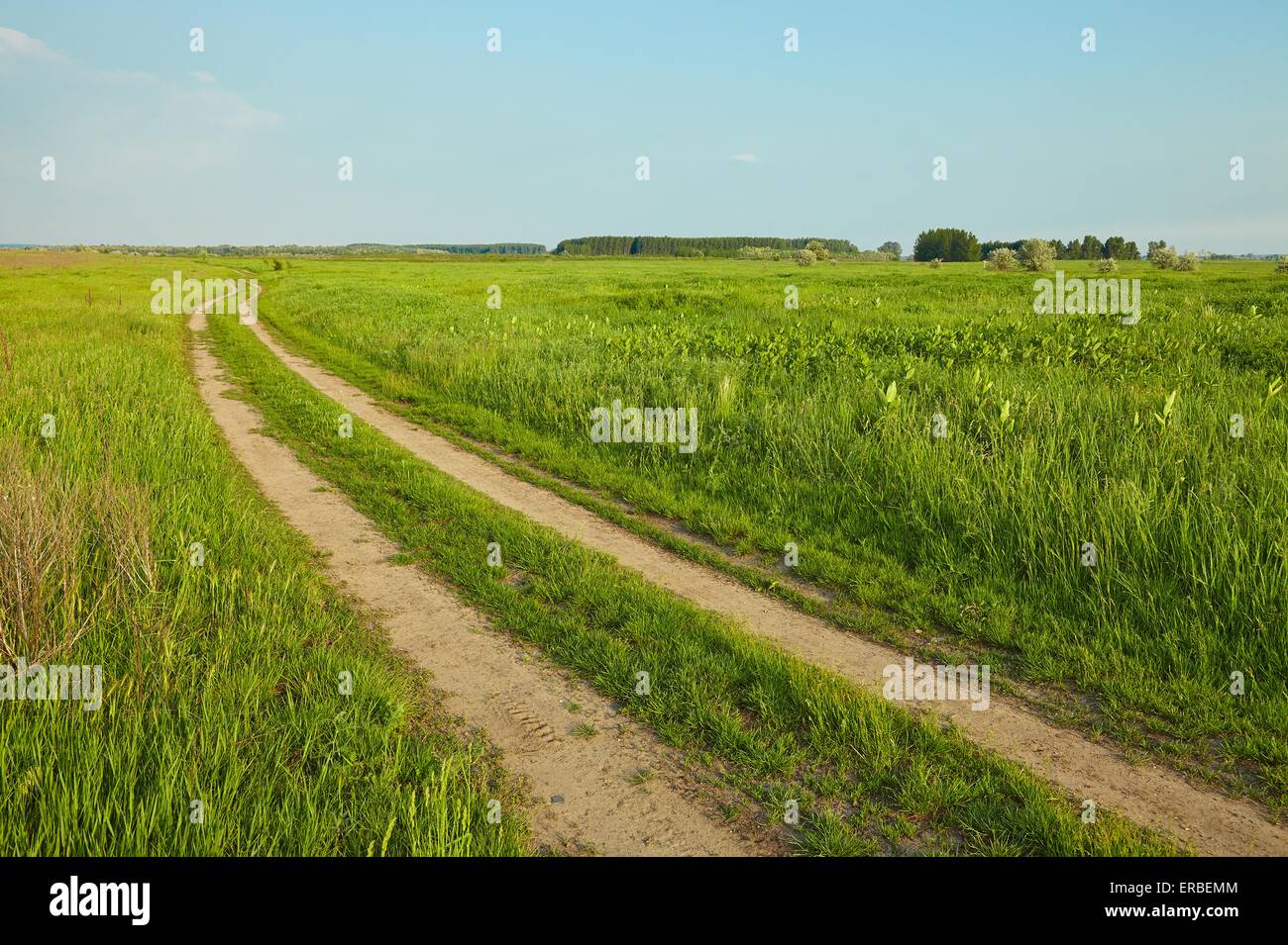 Field with path Stock Photo - Alamy