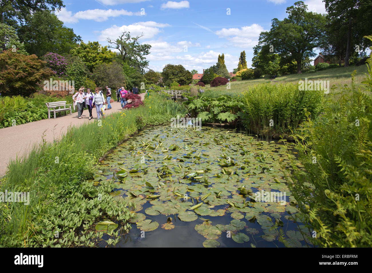 Rhs wisley rock garden hi-res stock photography and images - Alamy