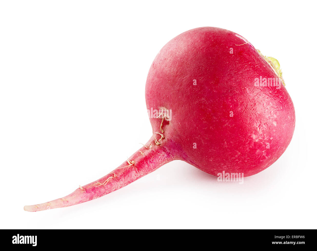 Red ripe radish with tail isolated on white background Stock Photo - Alamy