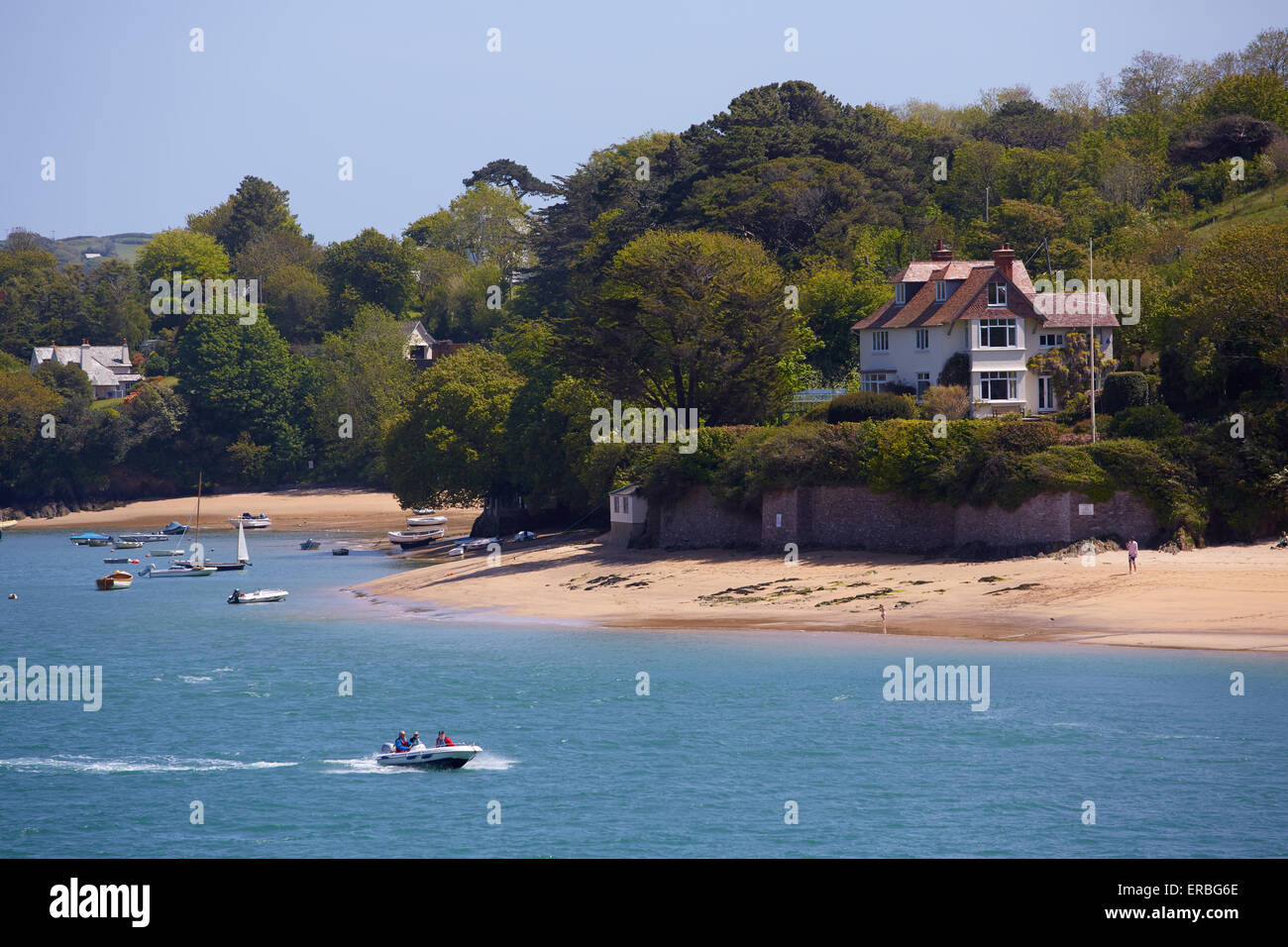 View over Salcombe harbour to East Portlemouth Stock Photo - Alamy