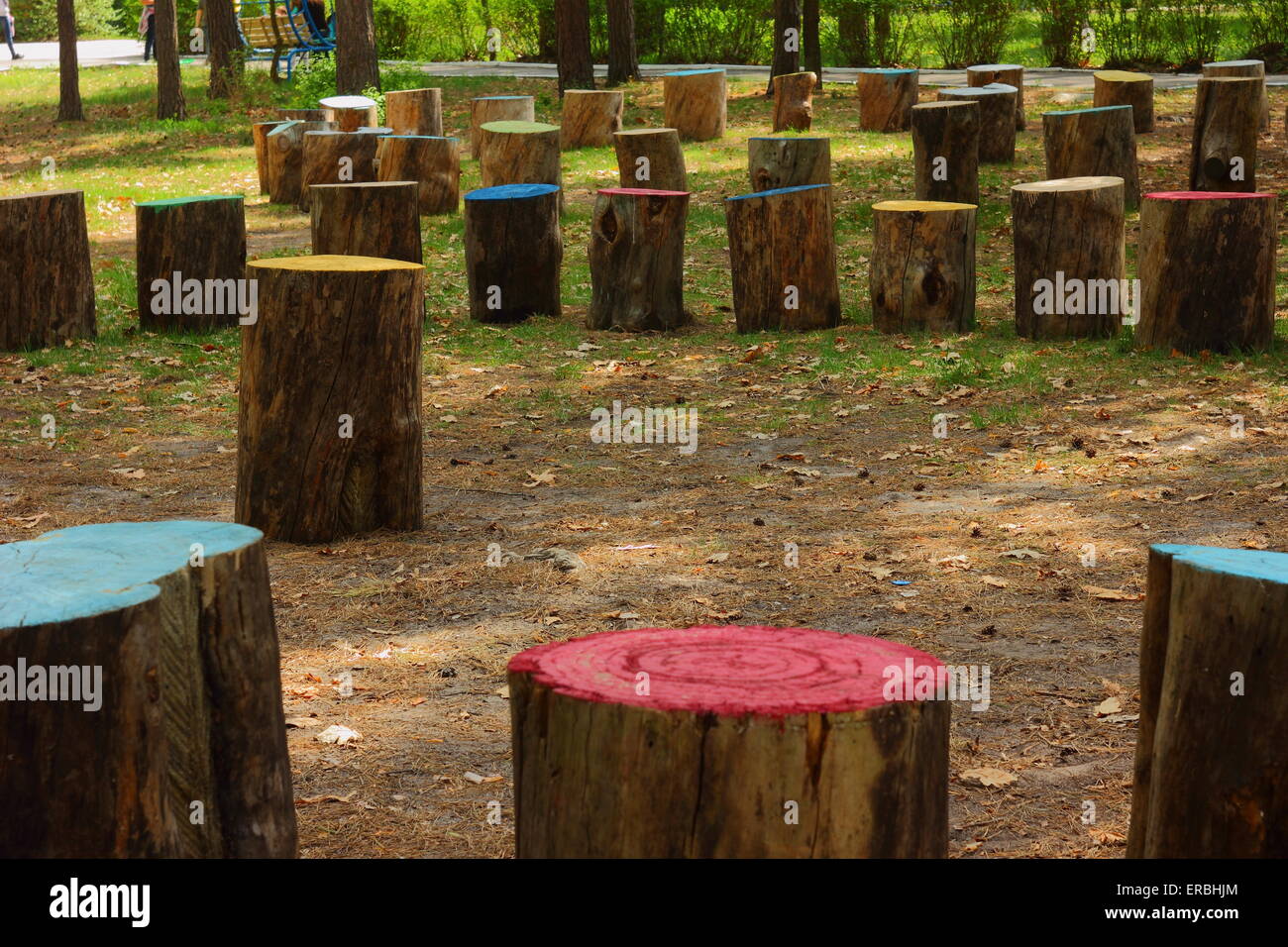 on the street are a large number of tree stumps Stock Photo - Alamy