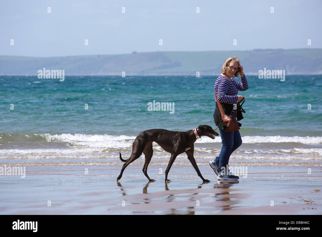 Woman exercising greyhound on beach hi-res stock photography and images ...