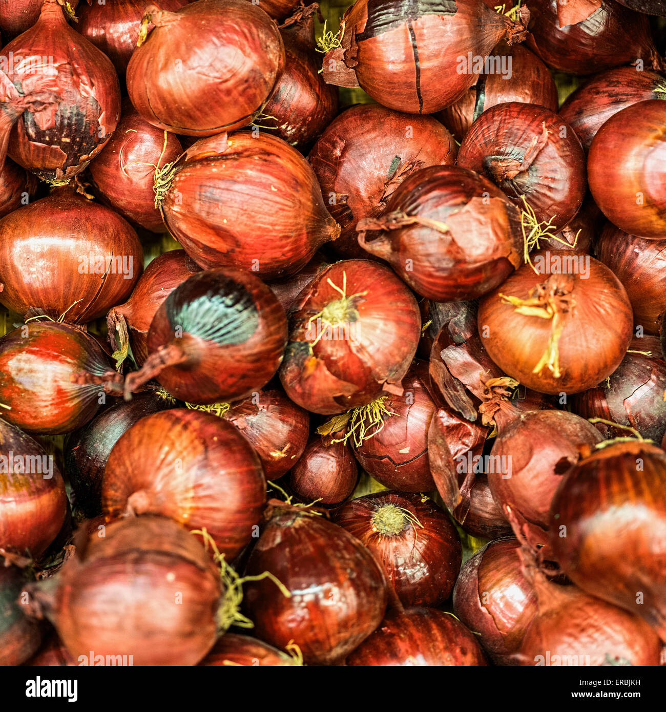 Red onion close up hi-res stock photography and images - Alamy