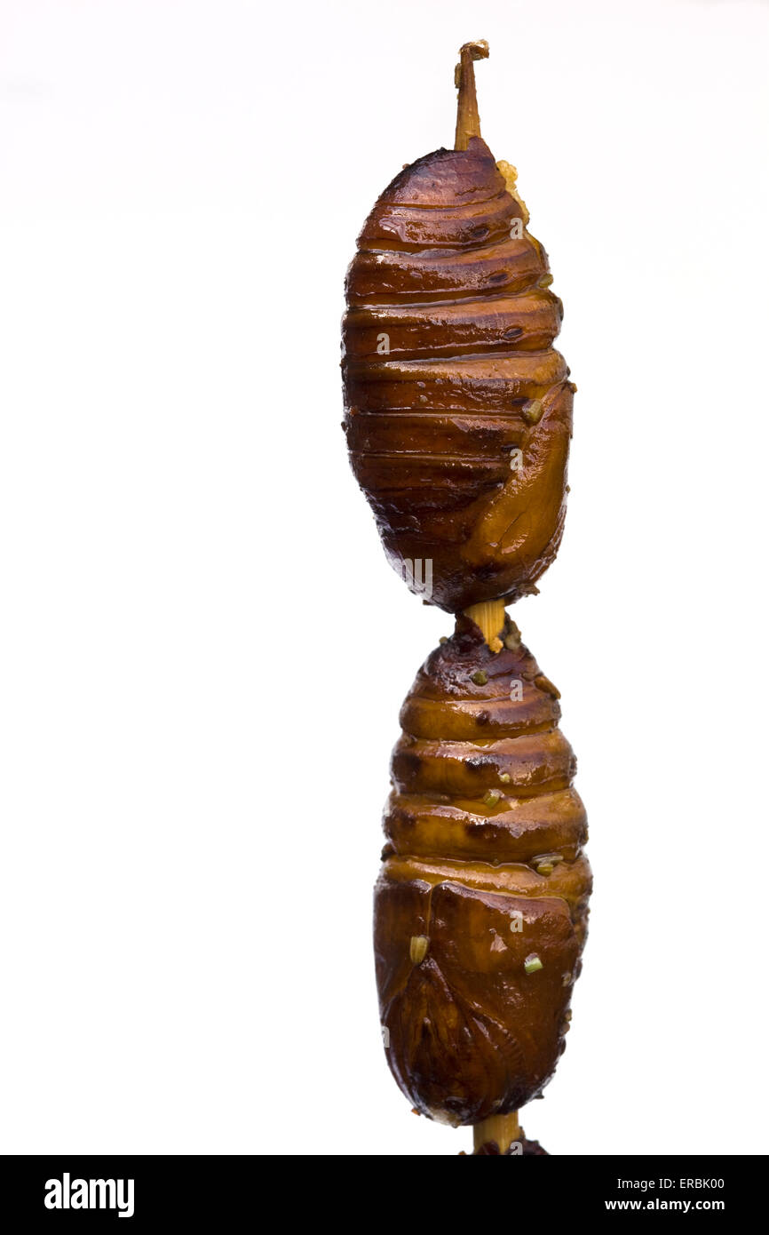 Cooked Silkworm Larvae at Wangfujing Street Food Night Market Beijing ...